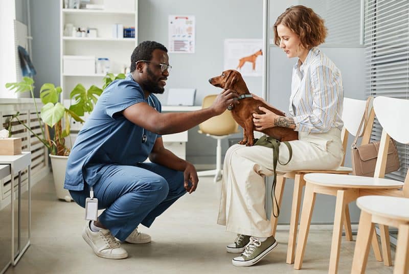 The Importance of the Veterinarian-Client-Patient Relationship (VCPR ...