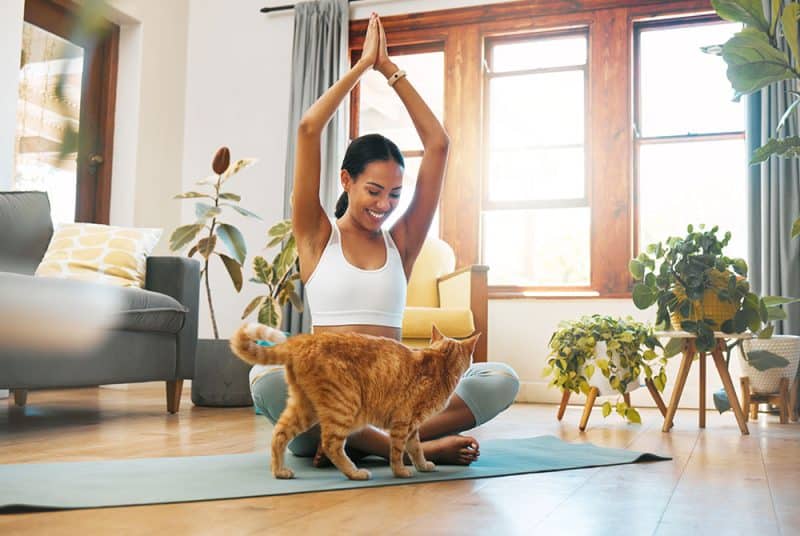 Solensia - The First and Only FDA-Approved Treatment to Control ...