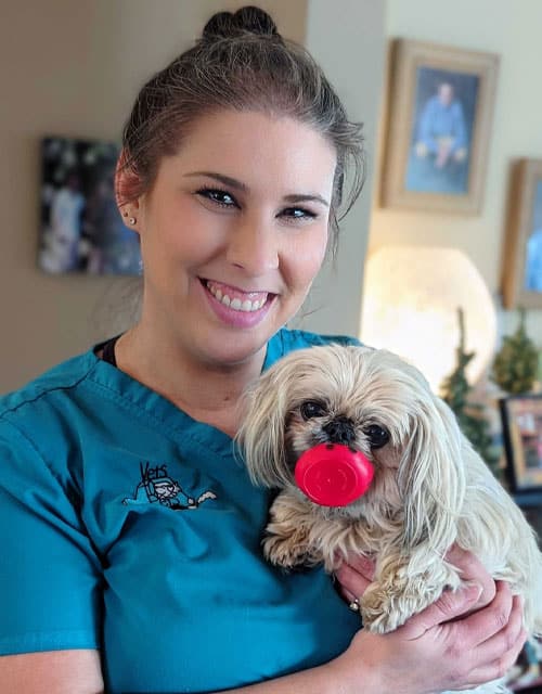 Vet in Northern Virginia | Vets to Pets Mobile Veterinary Care